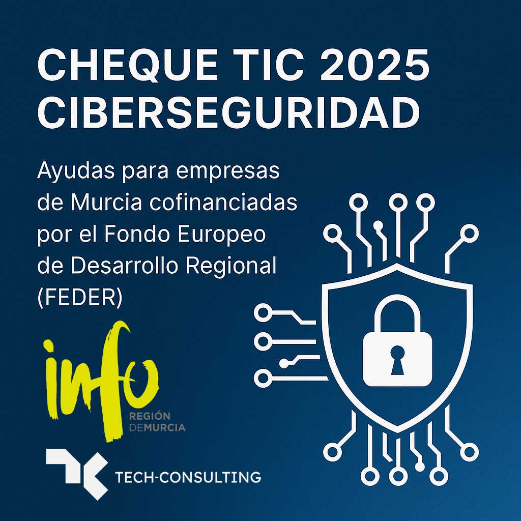 Cheque TIC 2025 Ciberseguridad Murcia: guía completa para reforzar la ...